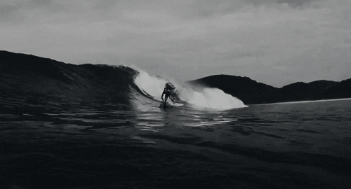 Download Wave Ocean Surfing Sports Ocean Waves Gif