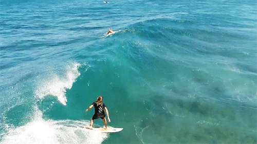 Download Wave Ocean Surfing Sports Ocean Waves Gif