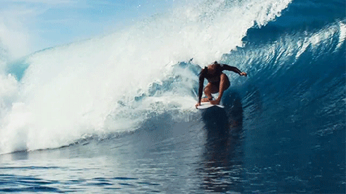 Download Wave Ocean Surfing Sports Ocean Waves Gif