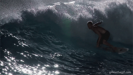 Download Wave Ocean Surfing Sports Gif - Gif Abyss