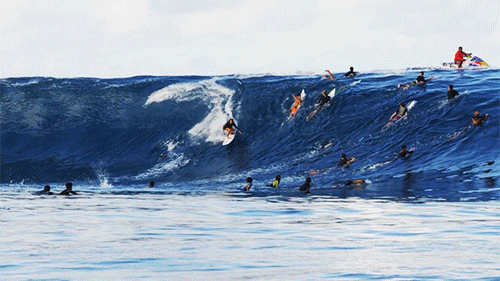 Download Wave Ocean Surfing Sports Gif - Gif Abyss