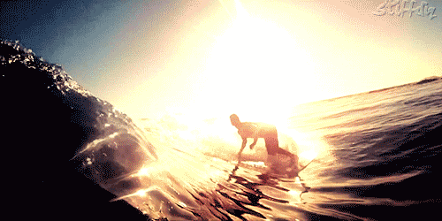 Surfing Gif - Gif Abyss
