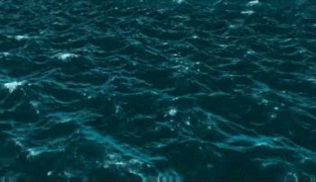 Download Nature Water Sea Ocean Wave Ocean Waves Gif
