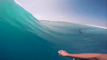 Download Wave Ocean Surfing Sports Ocean Waves Gif