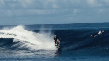 Download Wave Ocean Surfing Sports Ocean Waves Gif