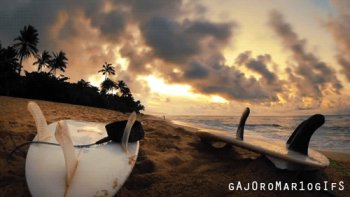 Download Wave Ocean Surfing Sports Ocean Waves Gif