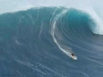 Download Wave Ocean Surfing Sports Ocean Waves Gif