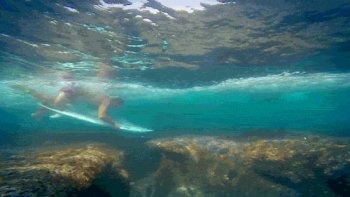 Download Wave Ocean Surfing Sports Ocean Waves Gif