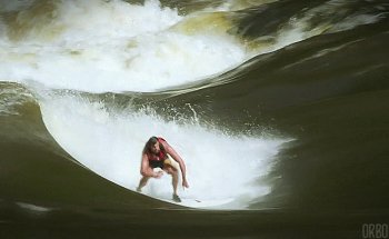 Download Wave Ocean Surfing Sports Ocean Waves Gif