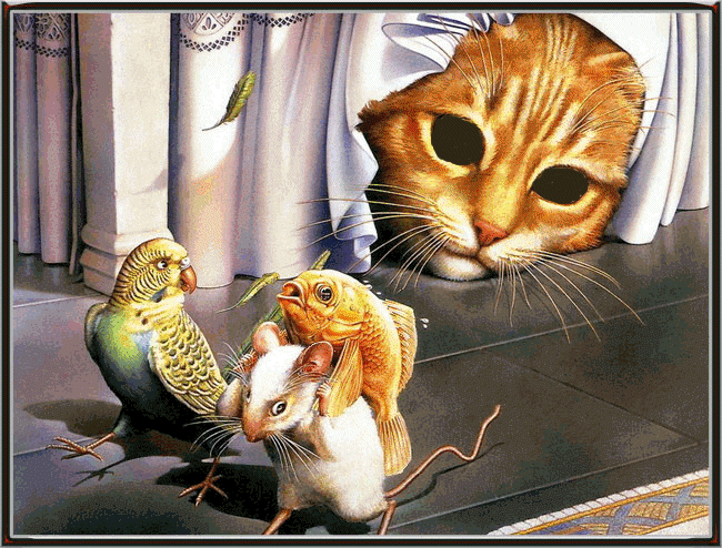 Download Animal Cat Gif - Gif Abyss