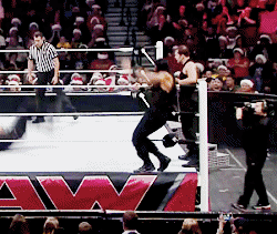 Download Wrestling WWE Sports Gif - Gif Abyss