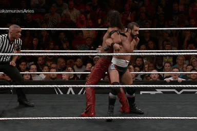 Download Wrestling WWE Sports Gif