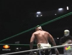 Download Wrestling WWE Sports Gif