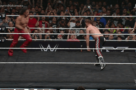 Download Wrestling WWE Sports Gif