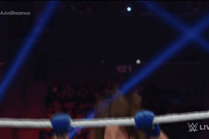 Download Wrestling WWE Sports Gif - Gif Abyss