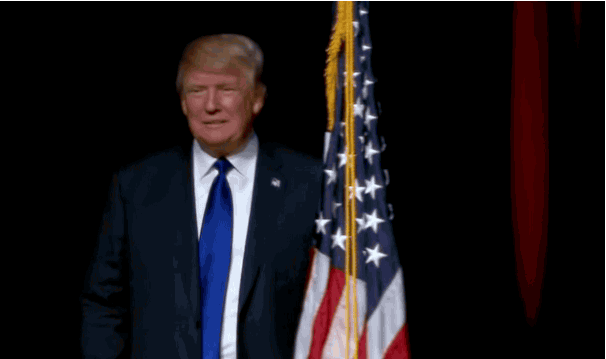 Download Celebrity Donald Trump Gif - Gif Abyss
