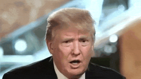 Donald Trump Gif - Gif Abyss