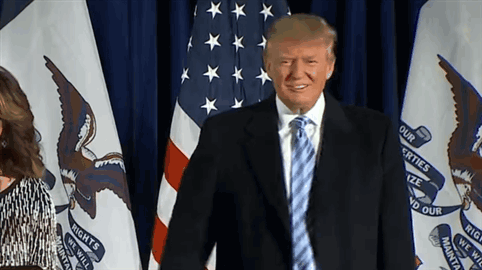 Download Celebrity Donald Trump Gif - Gif Abyss
