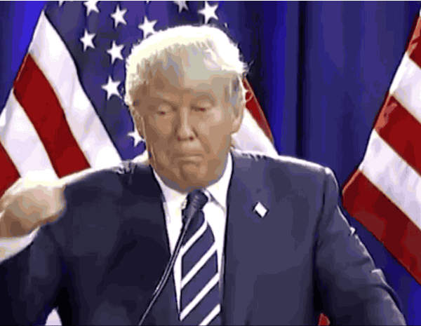 Donald Trump Gif - Gif Abyss