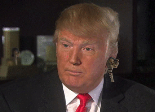 Donald Trump Gif - Gif Abyss