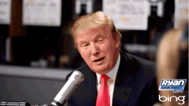 Download Celebrity Donald Trump Gif