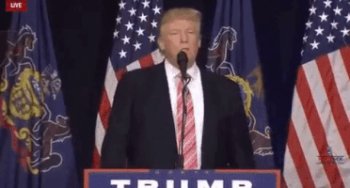 Download Celebrity Donald Trump Gif