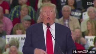Download Celebrity Donald Trump Gif - Gif Abyss