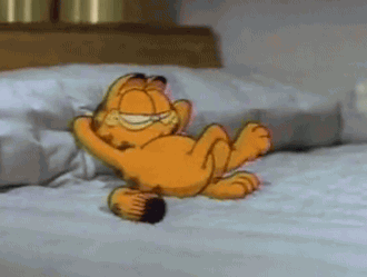 Download Humor Cartoon Cat Comic Garfield Gif