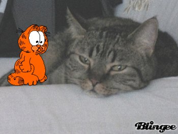 Download Humor Cartoon Cat Comic Garfield Gif