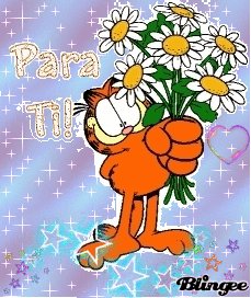Download Humor Cartoon Cat Comic Garfield Gif