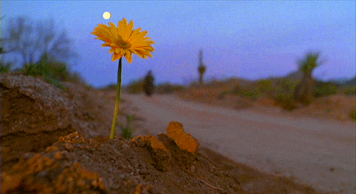 Raising Arizona Gif - Gif Abyss
