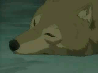 Download Anime Wolf's Rain Gif
