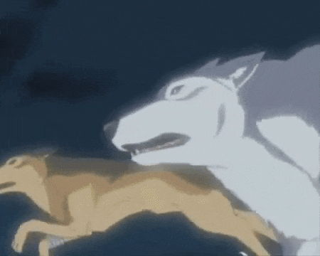 Download Anime Wolf's Rain Gif