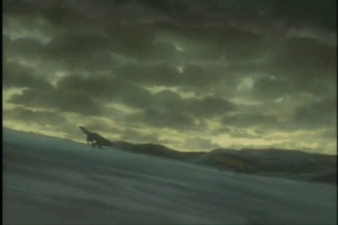 Download Anime Wolf's Rain Gif