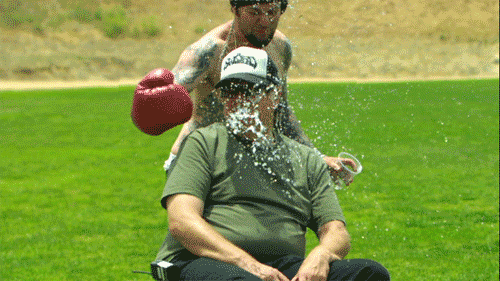 Jackass Gif - Gif Abyss