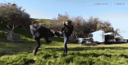 Download TV Show Jackass Gif