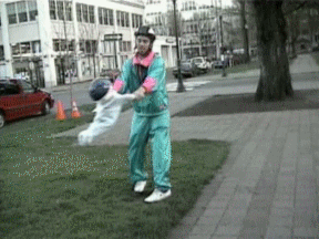 Jackass Gif - Gif Abyss