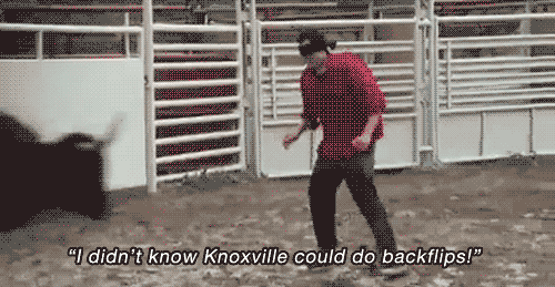 Download TV Show Jackass Gif