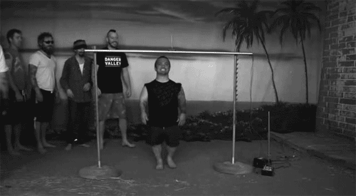 Download TV Show Jackass Gif - Gif Abyss