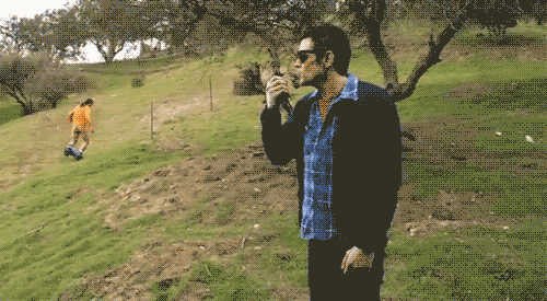 Jackass Gif - Gif Abyss