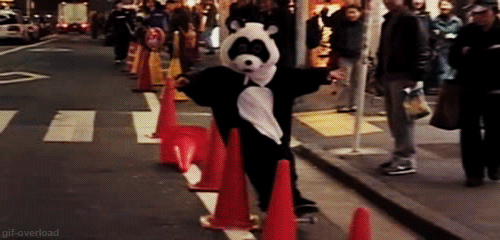 Download TV Show Jackass Gif - Gif Abyss