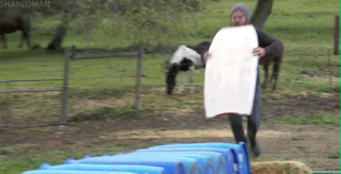 Download TV Show Jackass Gif