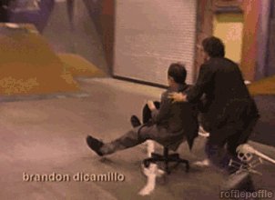 Download TV Show Jackass Gif