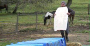 Download TV Show Jackass Gif