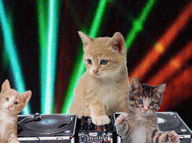 Download EDM Electronic Music Music DJ Gif - Gif Abyss