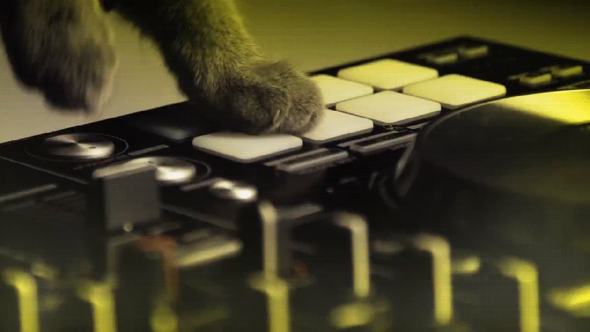 Download EDM Electronic Music Music DJ Gif - Gif Abyss