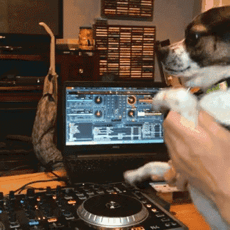 Download EDM Electronic Music Music DJ Gif - Gif Abyss