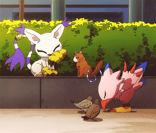 Anime Digimon Gif - Gif Abyss