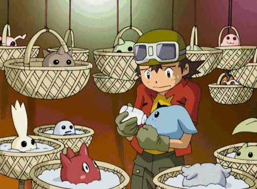 Chibomon And Leafmon