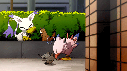 Download Anime Digimon Gif - Gif Abyss